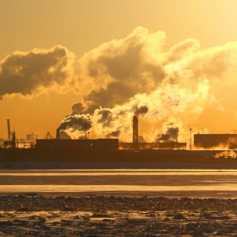 Yanoli QUANT ARQ Armband mit Quantensensoren I Must Have